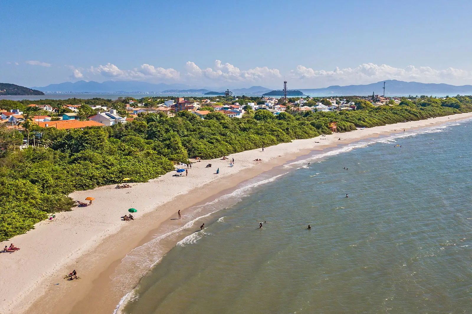 Praia da Daniela, norte da Ilha - Portal Like Floripa