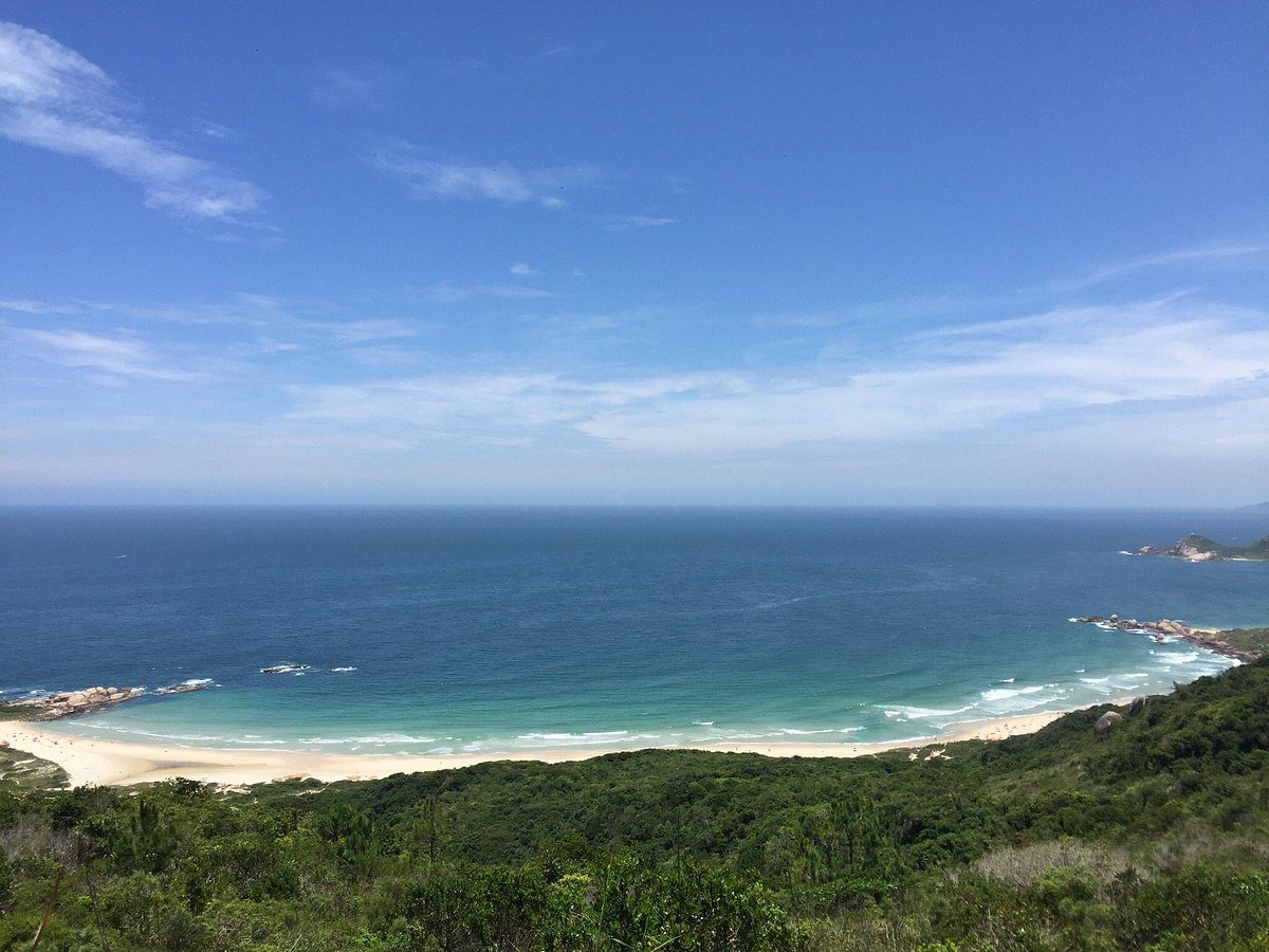 Praia da Galheta, praia naturalista do leste da Ilha - Portal Like Floripa